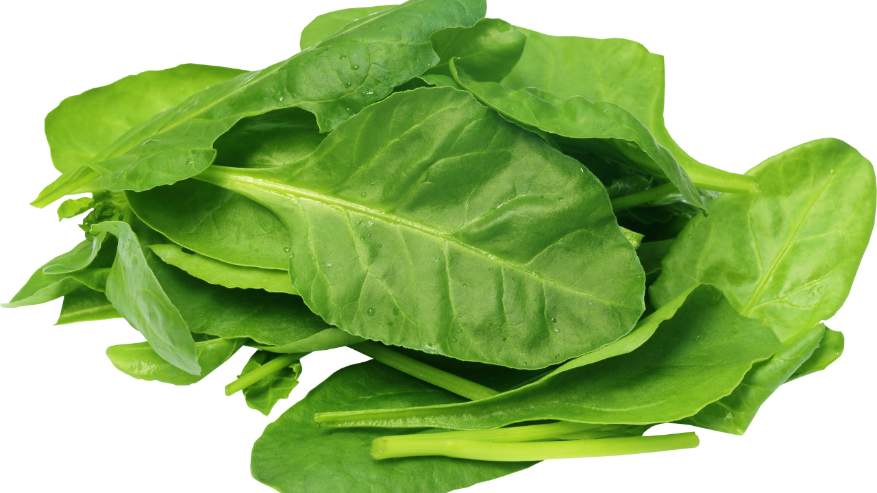 Spinach: A Nutritious Green with Fiber and Iron - Kabz Clinic
